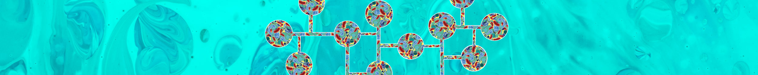 Métaprogramme Holoflux - Enjeux, objectifs, axes